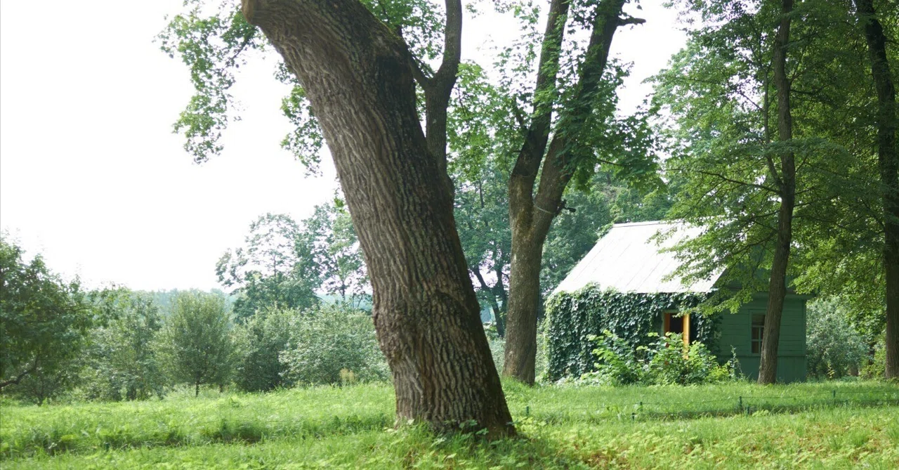 (2/3) The Mansion of Leo Tolstoy, inside territory.｜alex