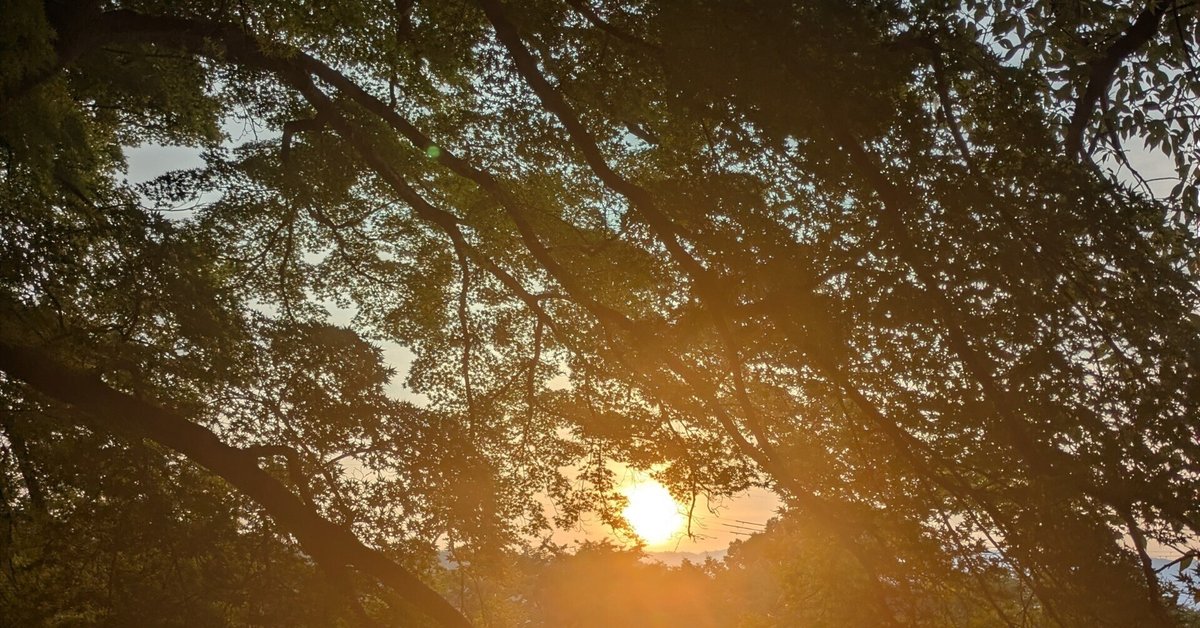 第4巻歌番号583番 歌/作者坂上大嬢｜ichiro70