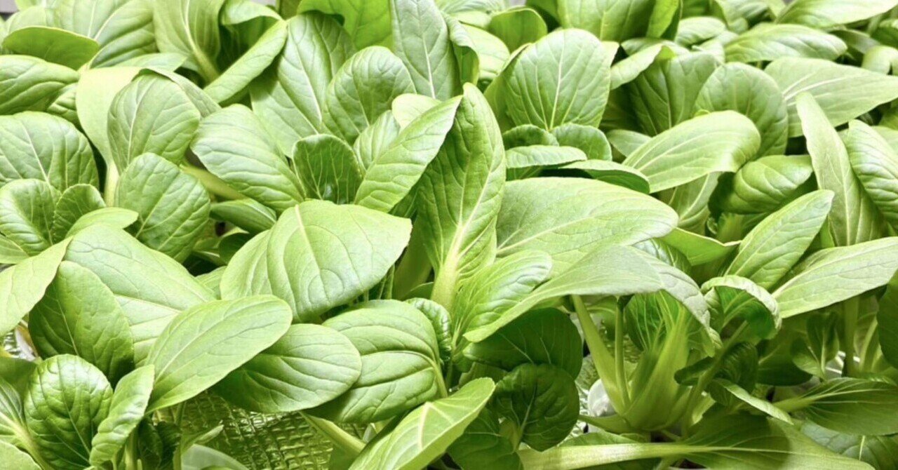 somewhere in the sky1045。｜ミテイナリコ(MITEI NARICO)