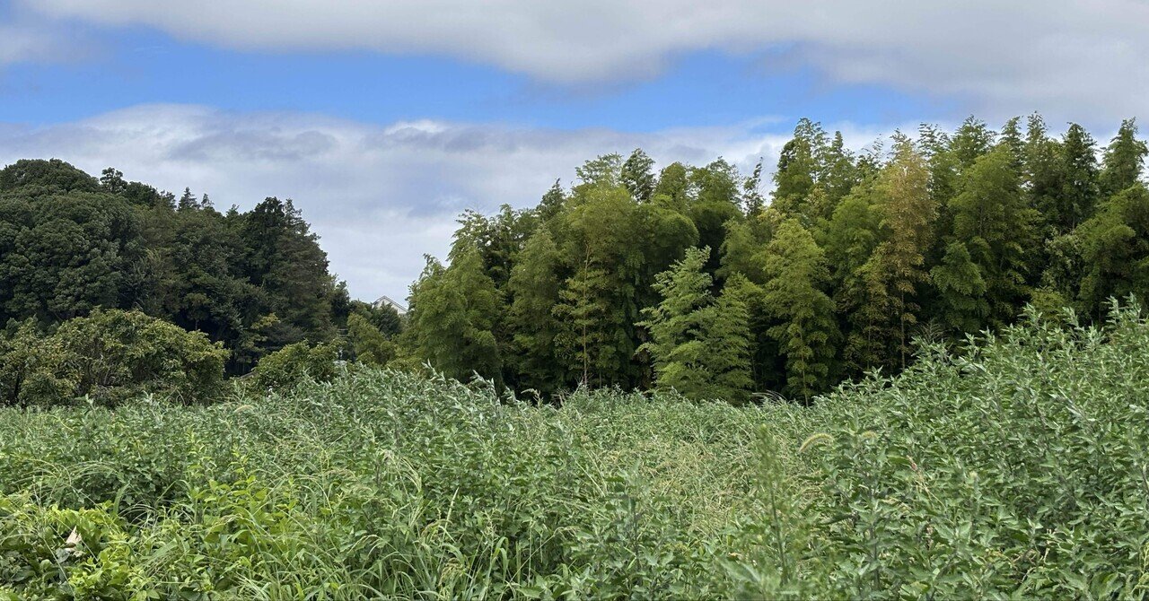 精進揚げの思い出｜Uchan