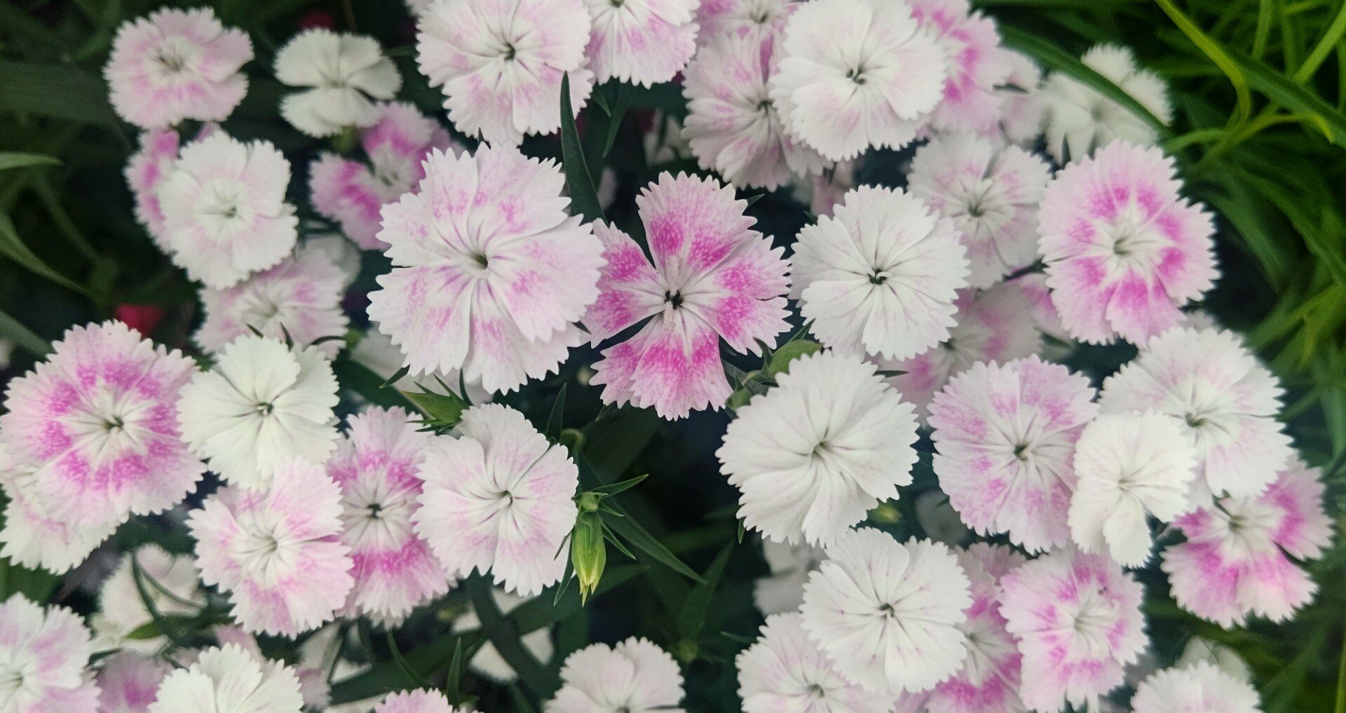 ハッピーライティングマラソン：山住玲子｜山住玲子（Yamazumi Reiko）｜note