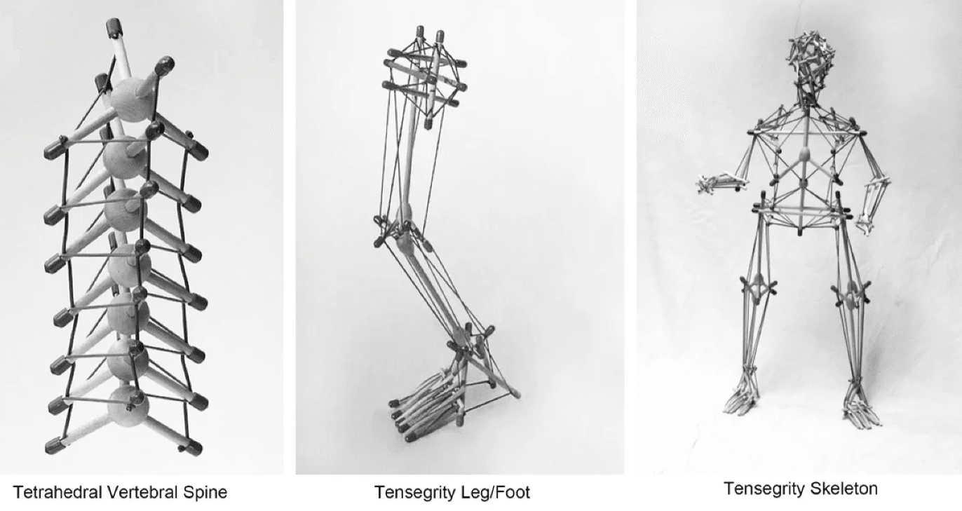 筋肉チューニング&身体操作｜續池均（kintsuzuike）@MTR Method Lab®︎｜note