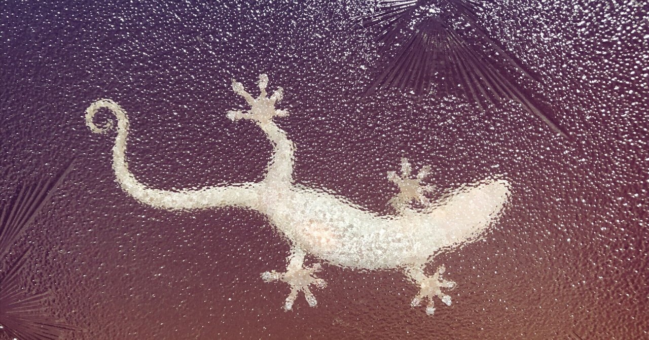 #25-216 mushisasare｜aico_arimitsu