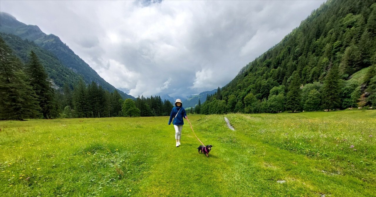 はじめまして🇨🇭｜sonzu