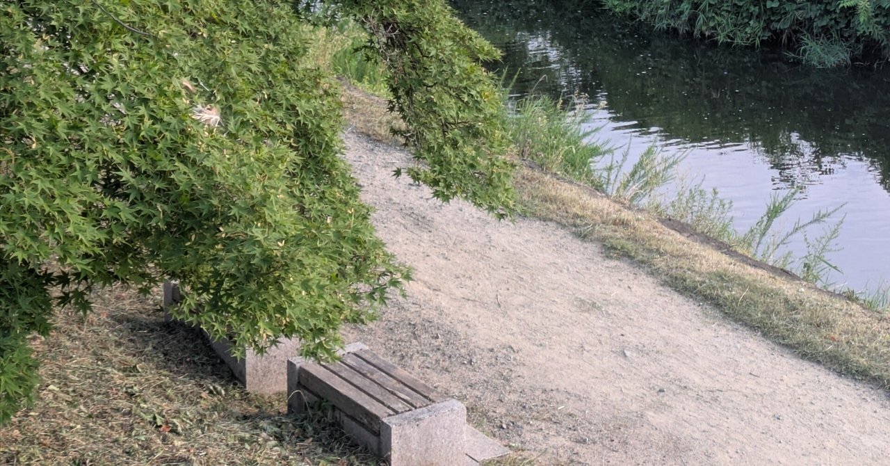 第4巻歌番号584番 歌/作者坂上大嬢｜ichiro70