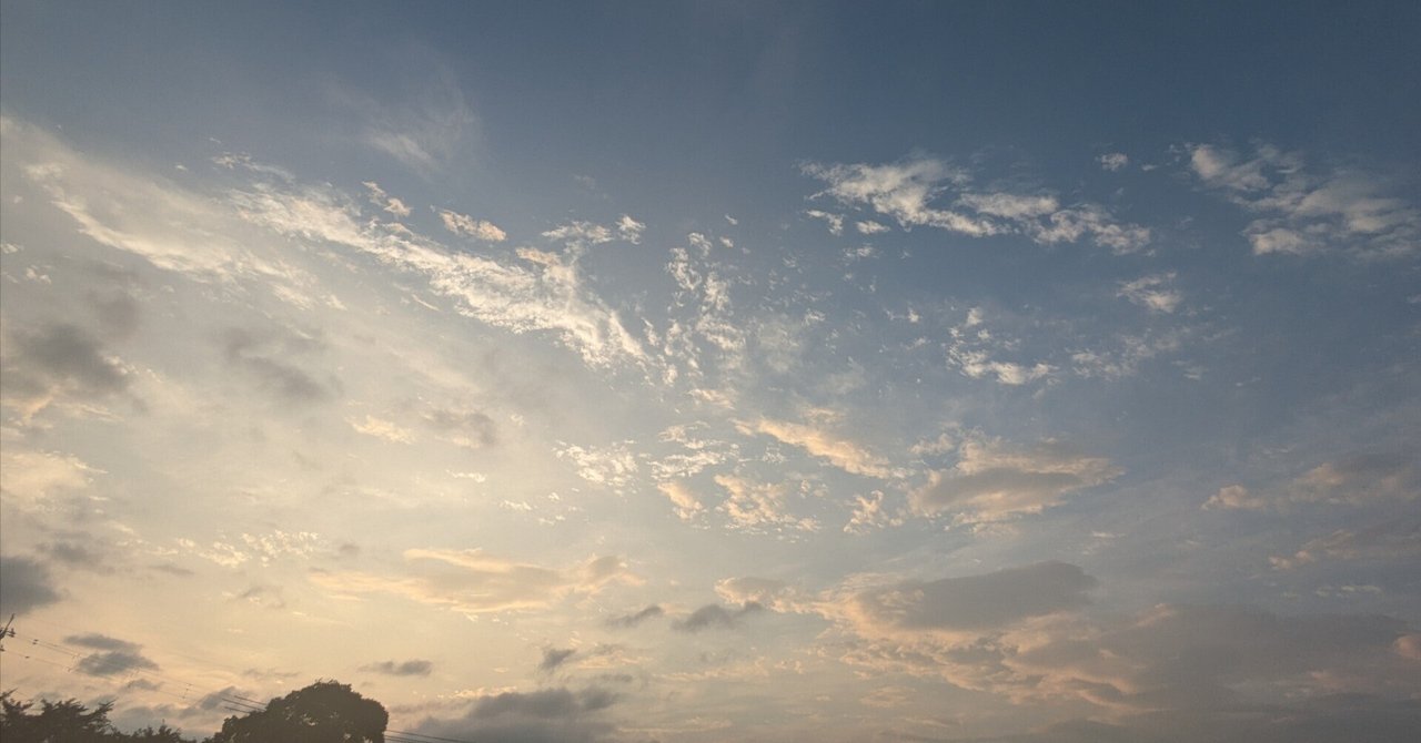 『里恋詩くて・・・熊野・高野』紀伊を愛した怒涛詩人さとちゃんを忘れない【762】｜ichiro70