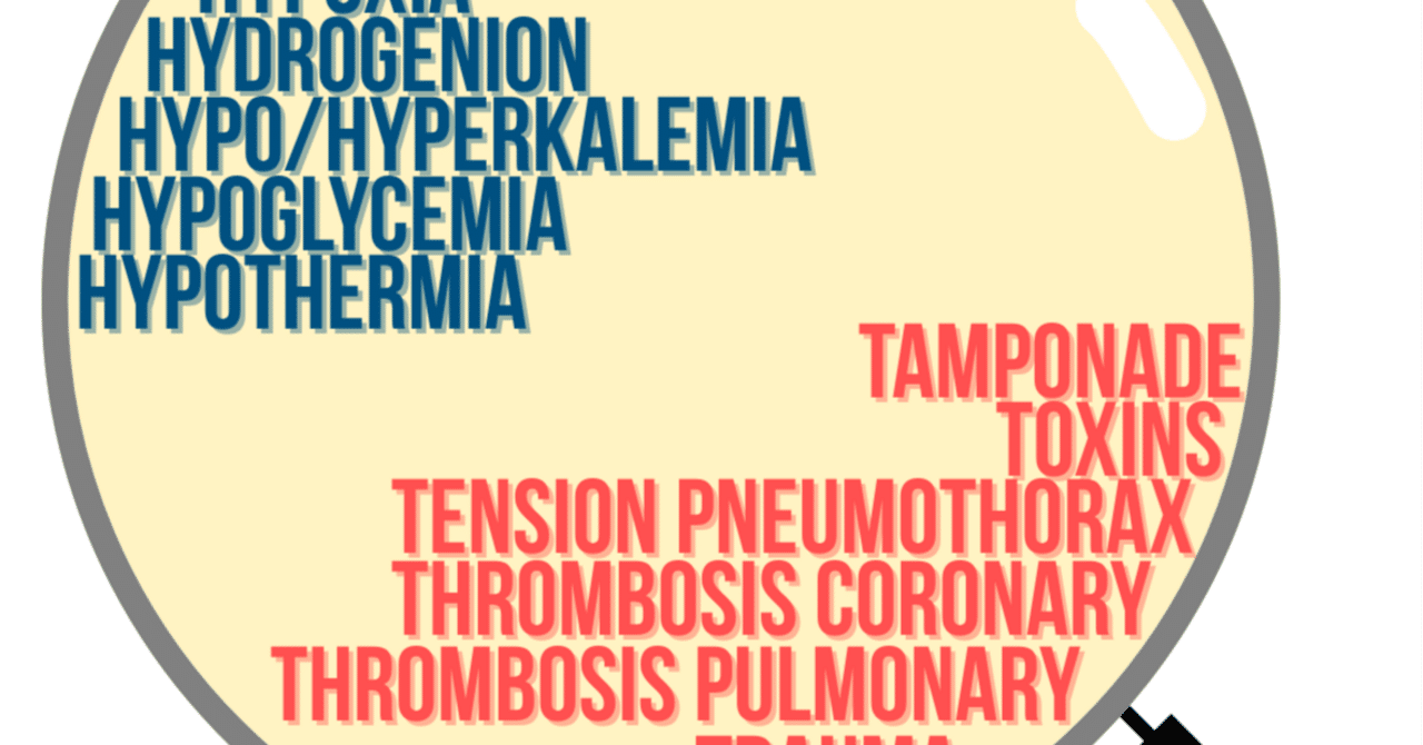 6H6Tという“問いの型”｜Luca|病院救急救命士