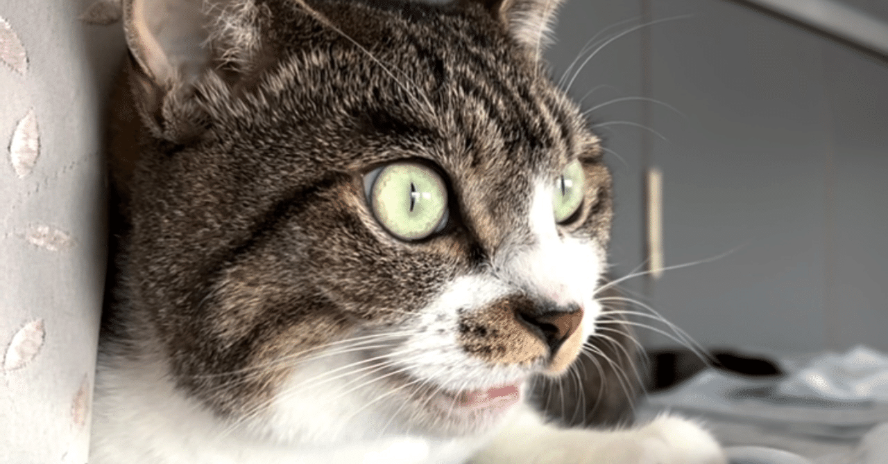 triangle clipping (25/8/10)｜r y u s k e y