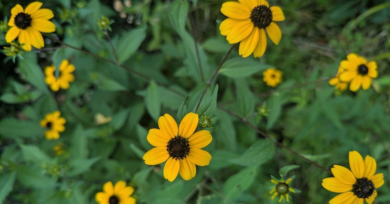 ヒーリングの気づき 自分に「おはよう」って言ってみよう #6｜樹 itsuki