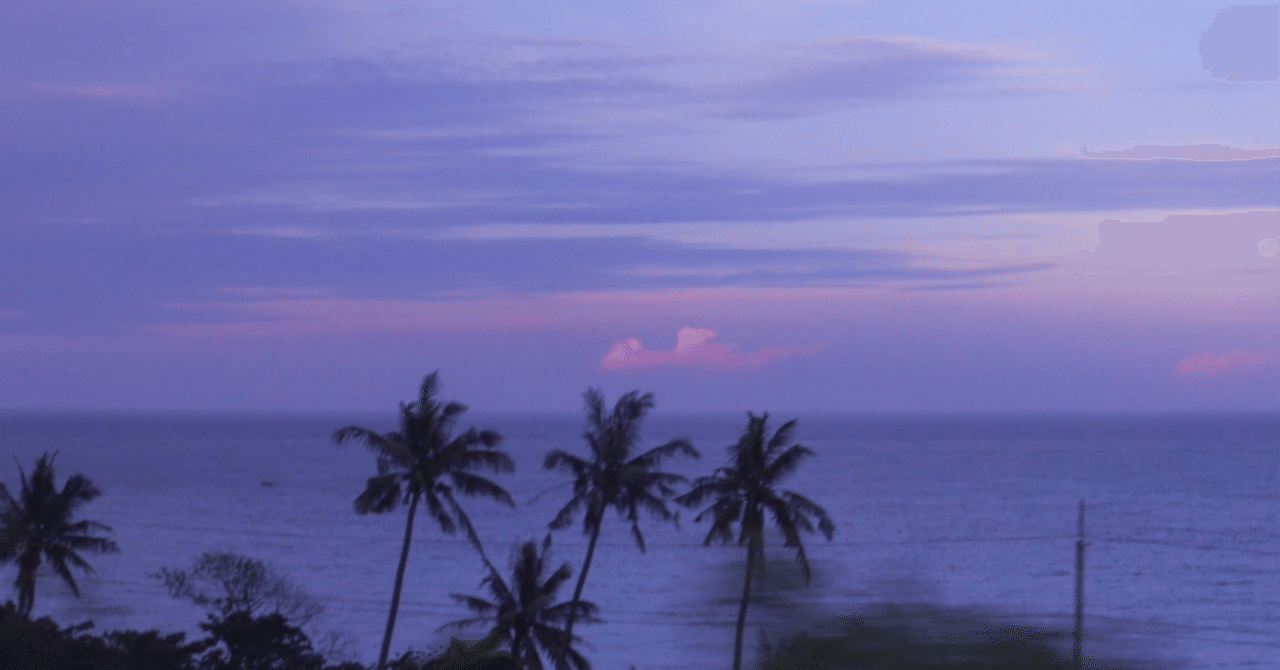 20250805 日記 ｜risi