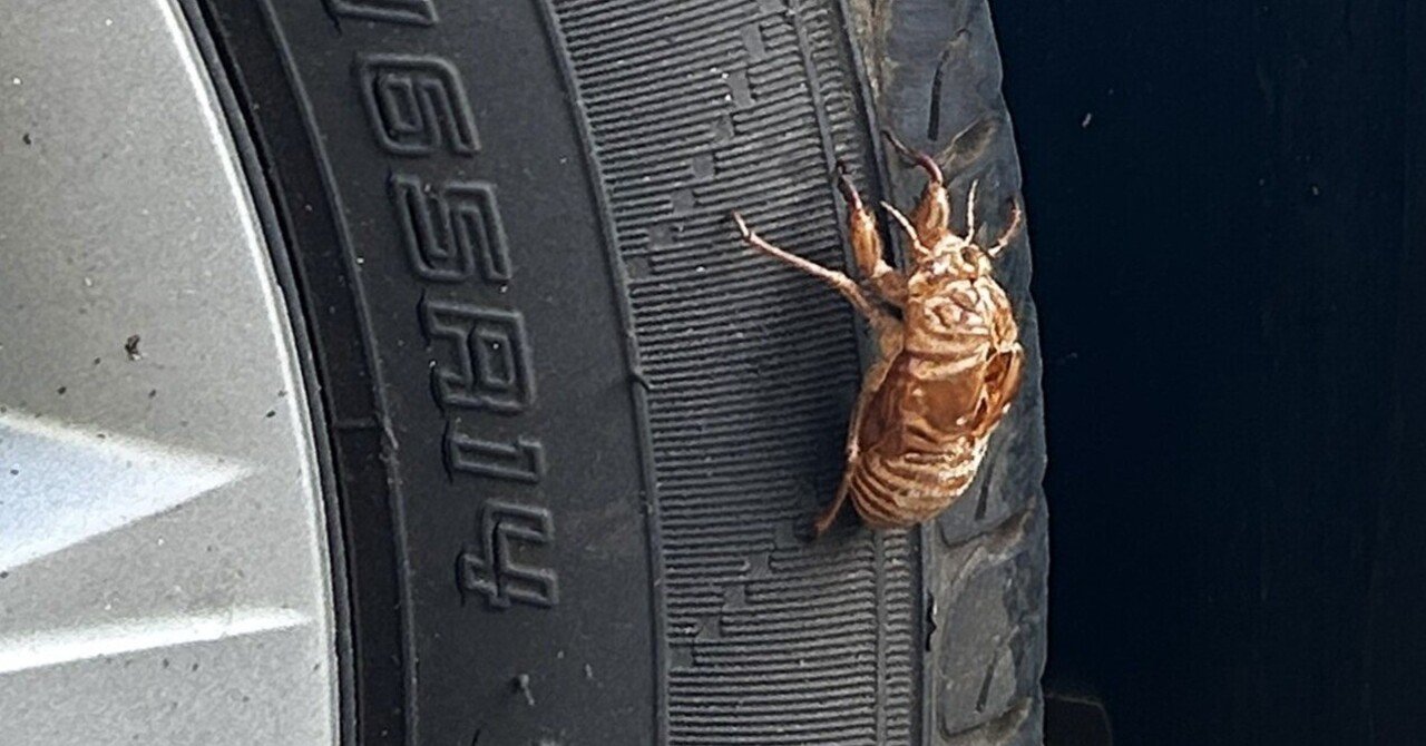 「光でスケッチ」 なにしてんねっ！｜Rabi Sato