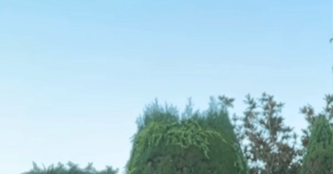 8/6 インスタ 🎹｜miwa