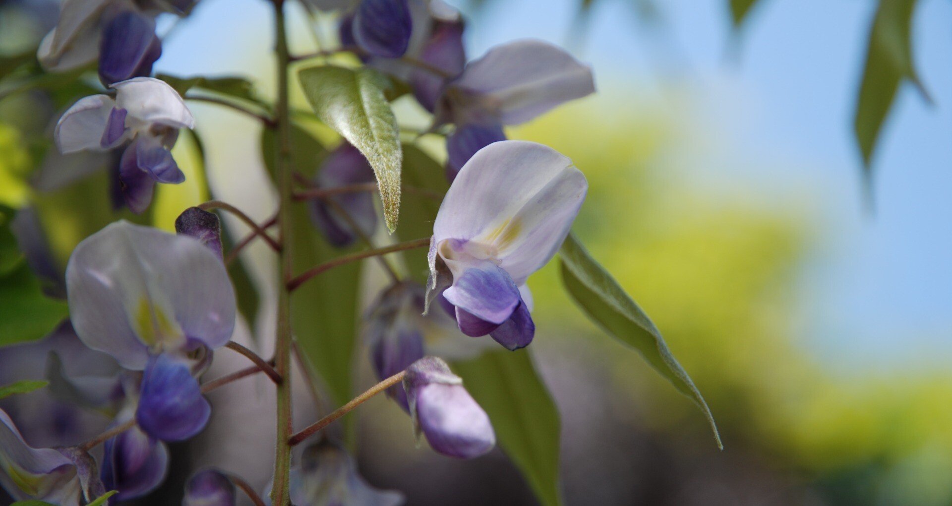 【PONコ2・et・イロイロ】｜PONコ2｜note