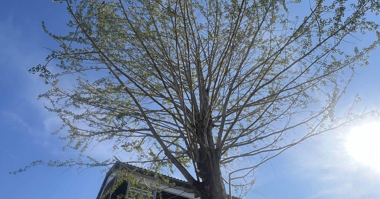 引きずった過去を軽くする｜Akari Note