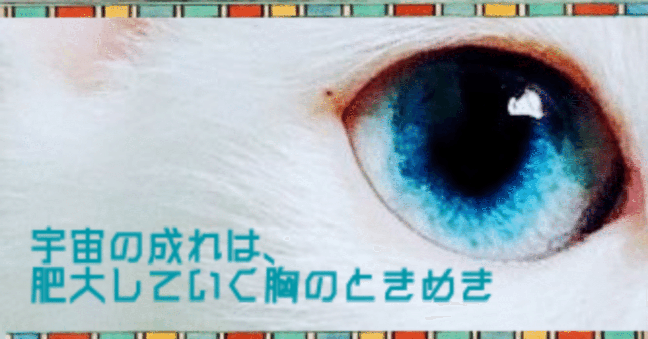 pyramid song 34 〈SOUL WARP〉｜ギンガギンガトン