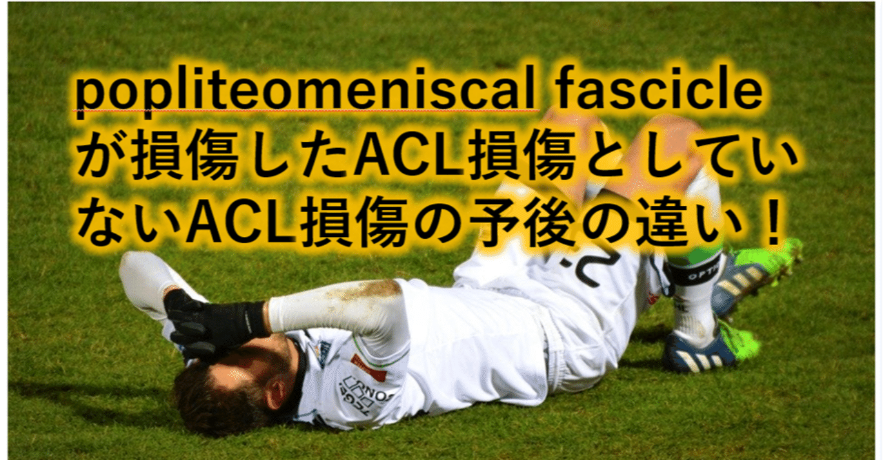 popliteomeniscal fascicleが損傷したACL損傷としていないACL損傷の予後の違い！｜Y.K｜note