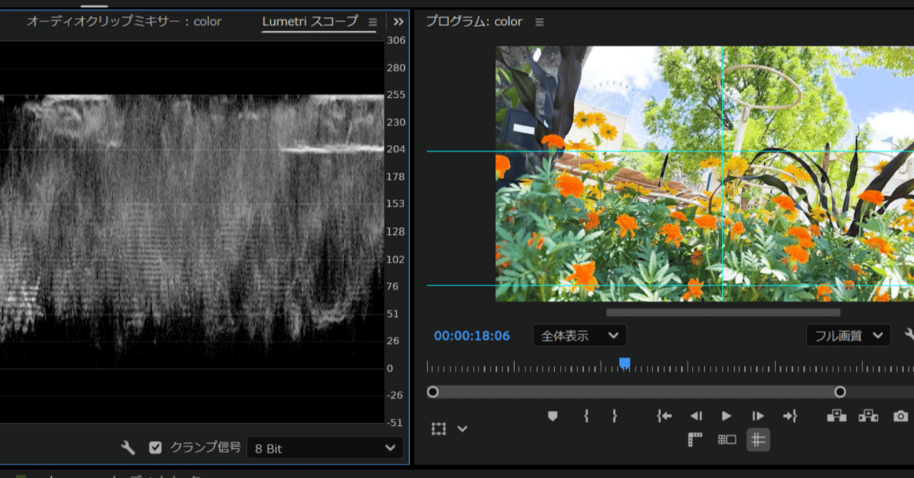 13【Adobeことはじめ】【クリエイティブカレッジ】【PremierePro】 13 カラー機能とAI機能でステップアップ｜neko.usaさん