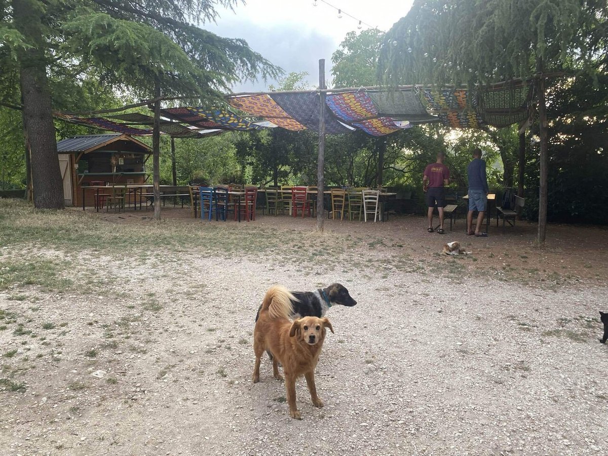 La Festa di mietitura 麦の収穫祭り・Tularù ｜城 拓 / Hiroshi Jo