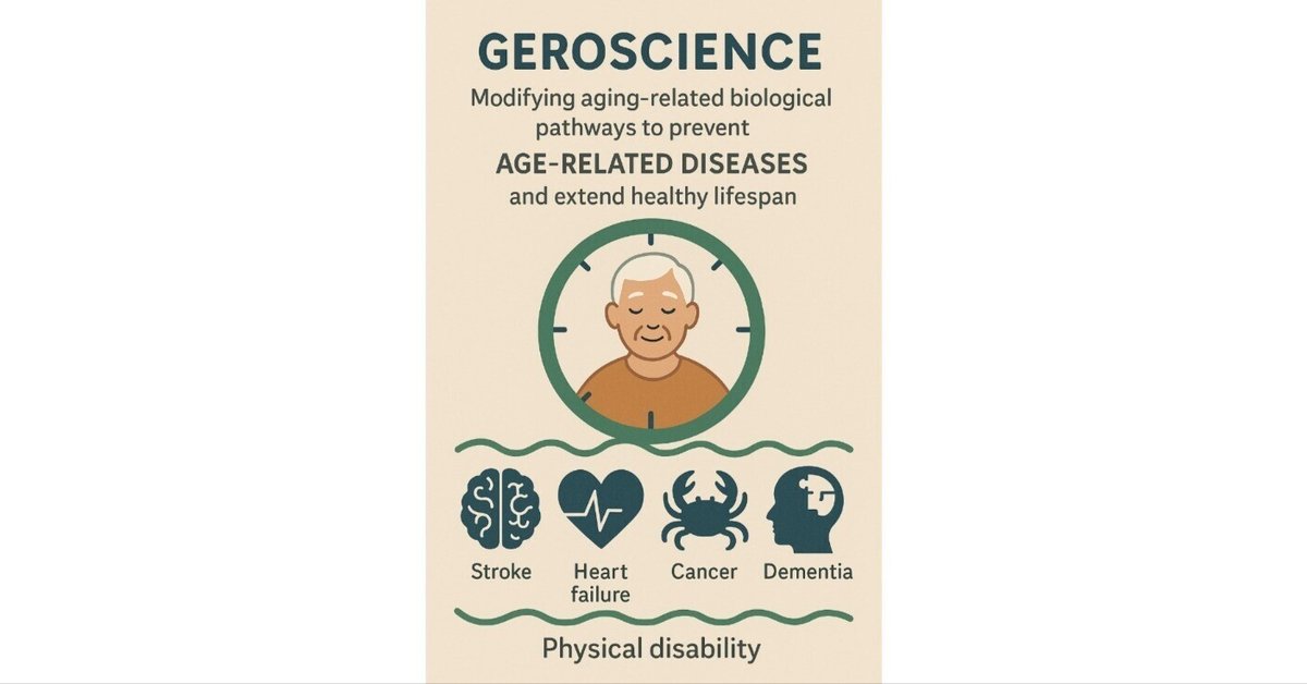 加齢科学（Geroscience）橋渡し的レビュー｜Makisey