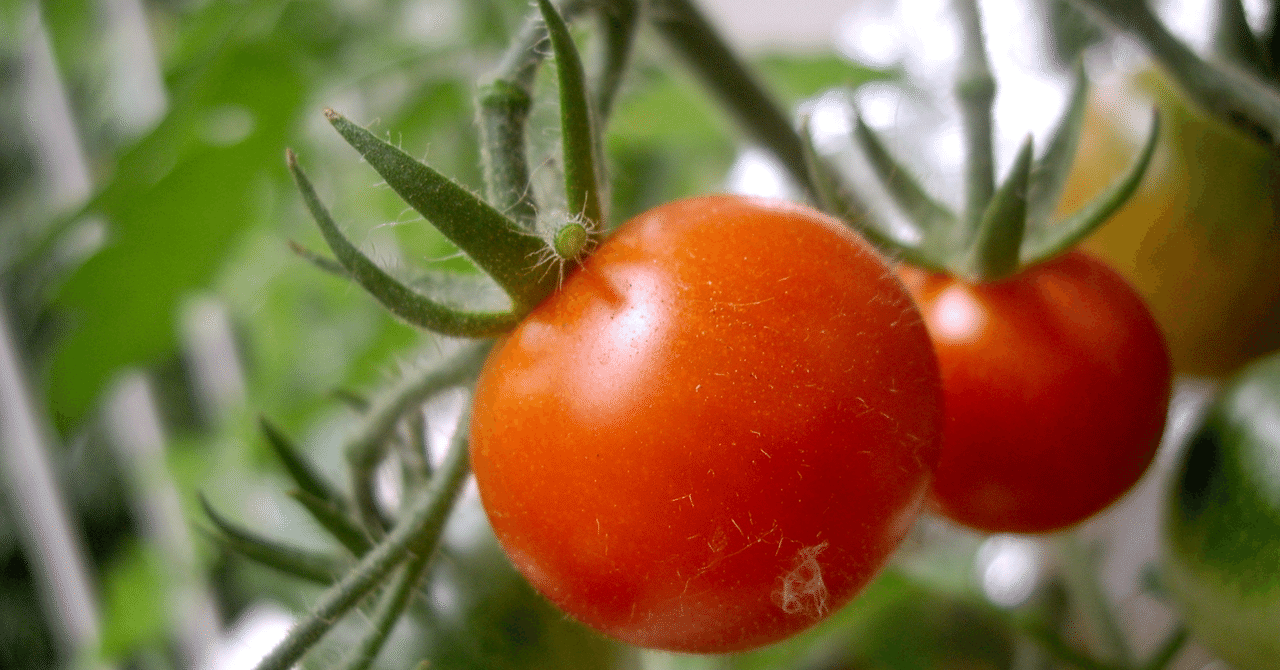 循環させる毎日。｜mini sol