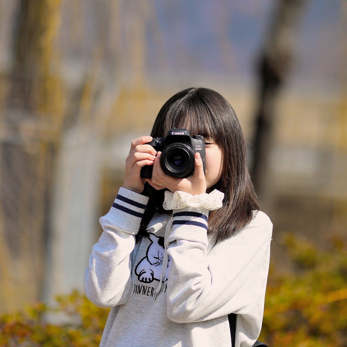 Canon EOS 8000D (2015年~)|シュワイPのブログ Canon EOS 8000D (2015年~)|シュワイPのブログ
