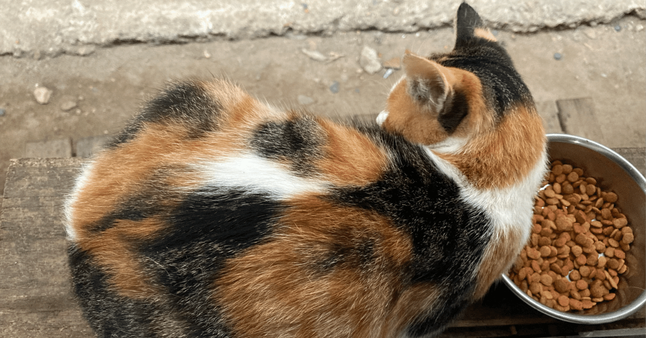 私の大好きな手塚治虫作品3連発！｜Moosan