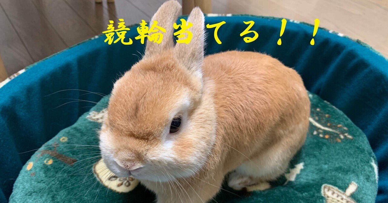 小倉競輪 G3 全レース(勝負レースは3R・8R・9R・10R・12R)｜けい