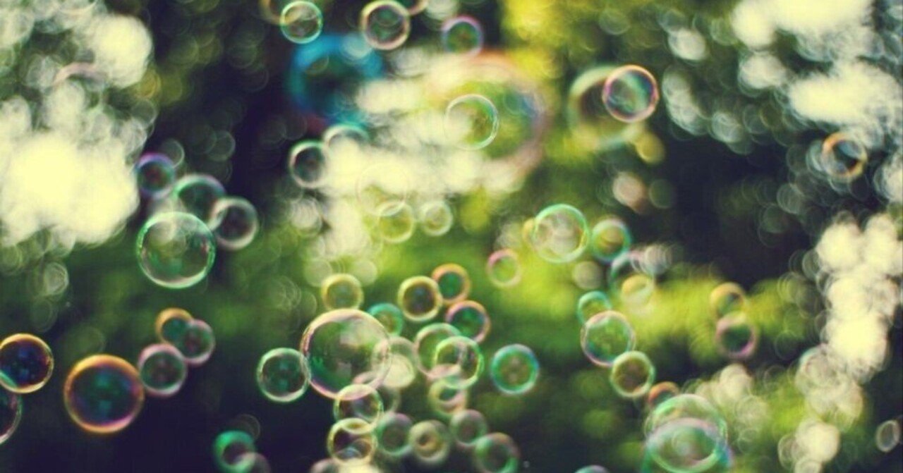 あなたの森と、わたしの森 / 似た光、異なる根｜yumikoの眠りの森