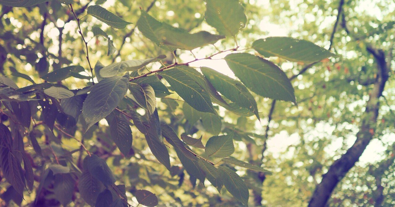 お盆休み突入｜yuzuo