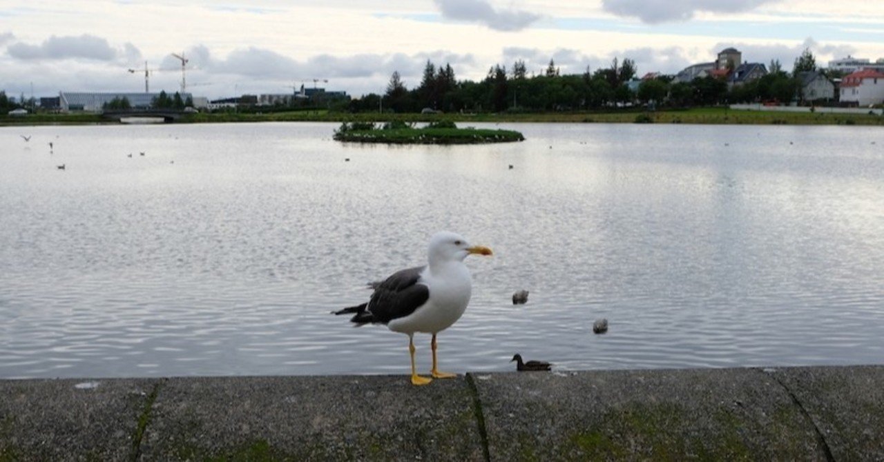 11日目前編：アイスランド西部（スティッキスホールムル～レイキャビク）｜bobbiiiiie