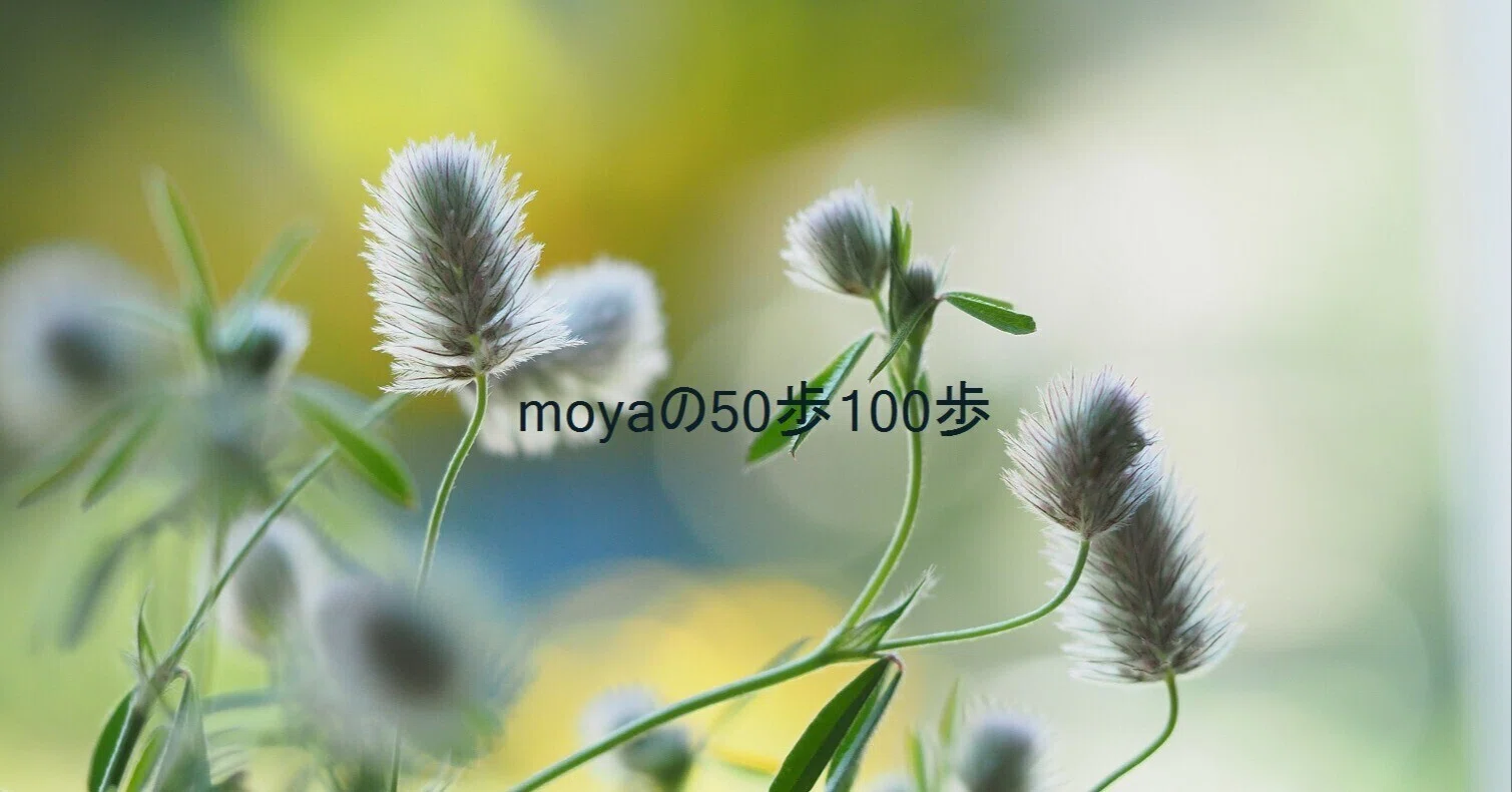 moya｜note