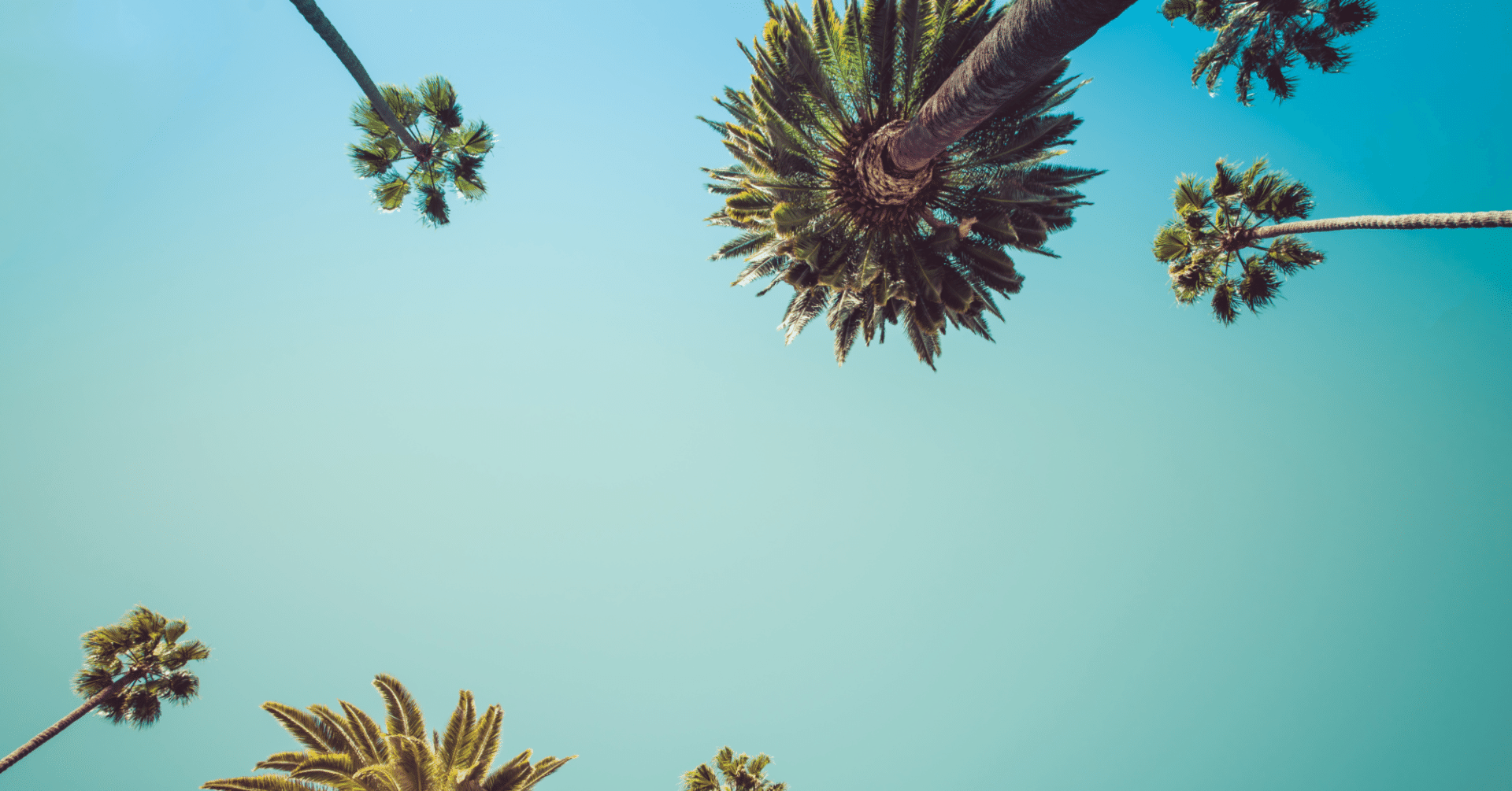 Miho l 海外子育て l ハンドメイド｜note