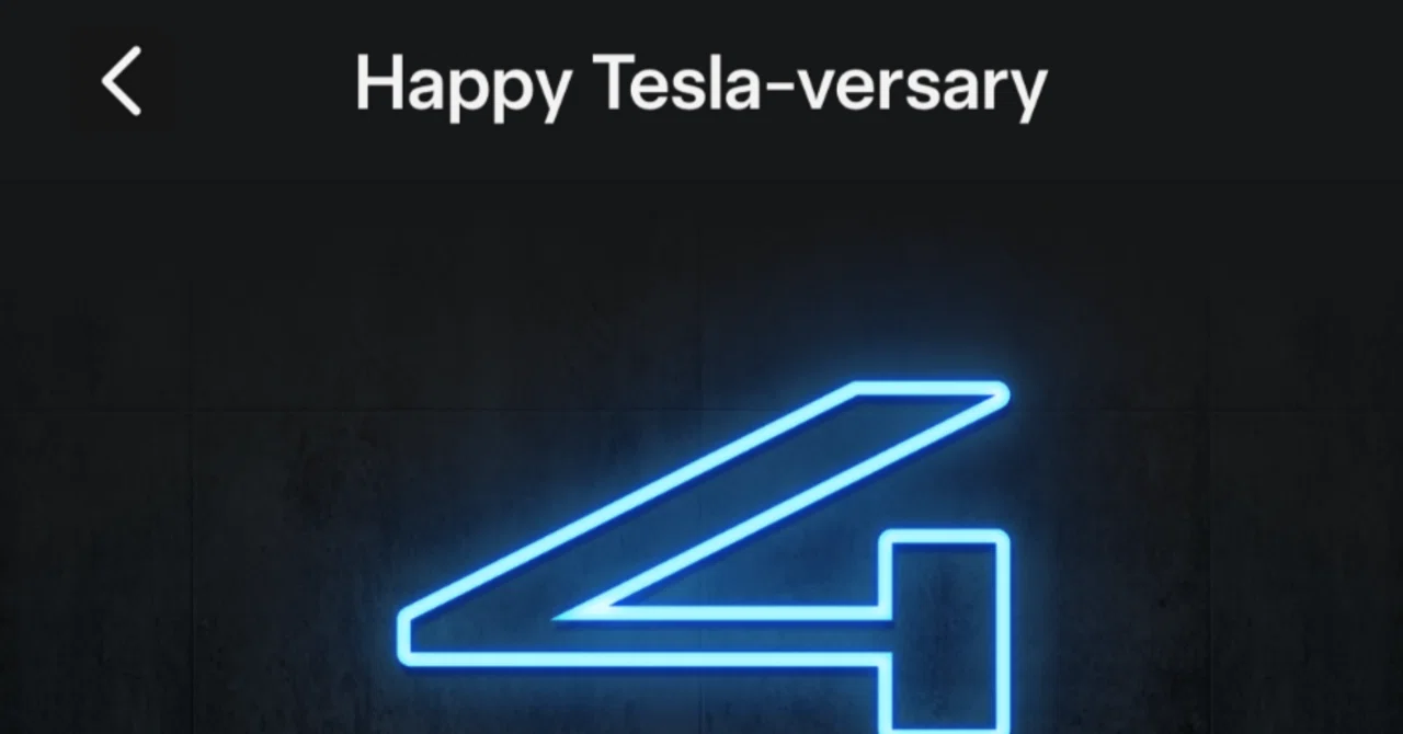 Tesla Model 3 Purchase Experience #55 - What I Learned from the 4th ...