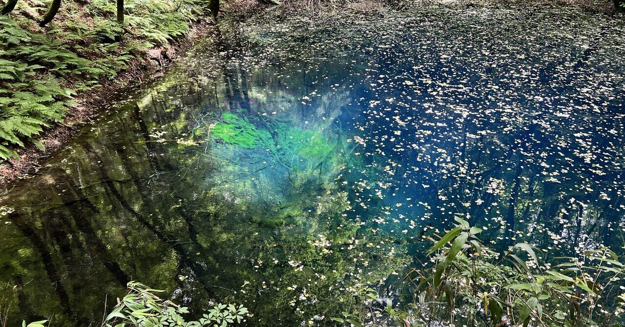 noteはじめました｜blue_note_tea