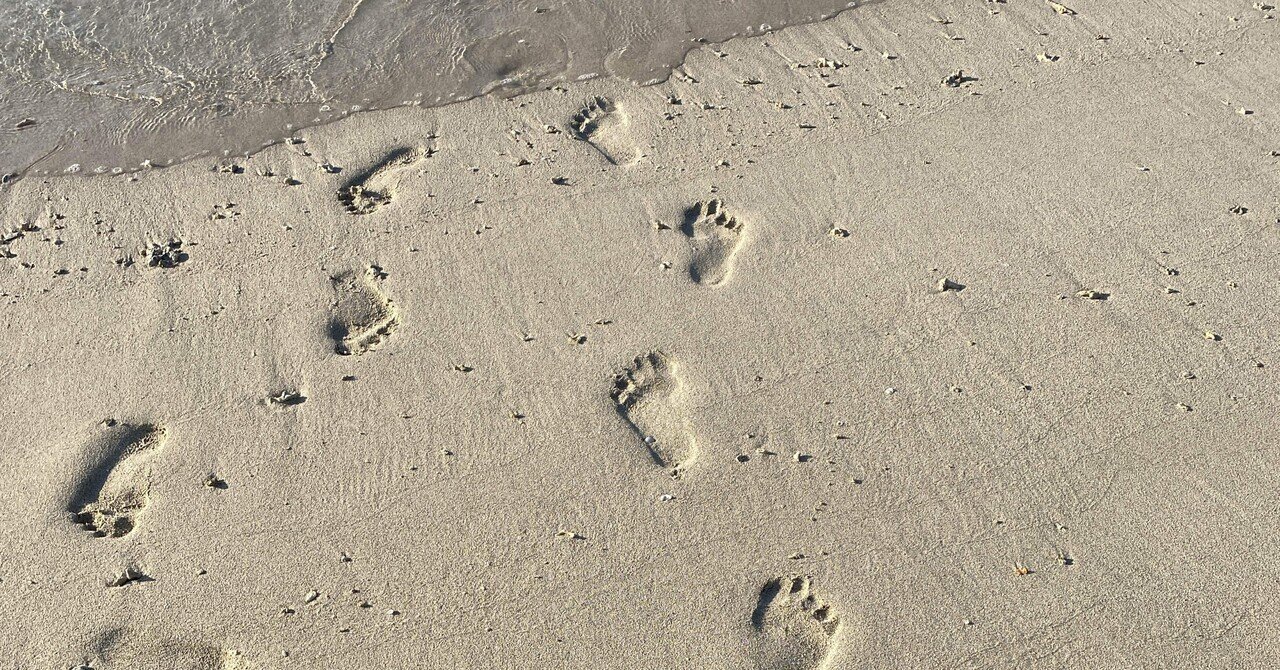 C’est moi. 21 浪人生活｜tomoko_0705