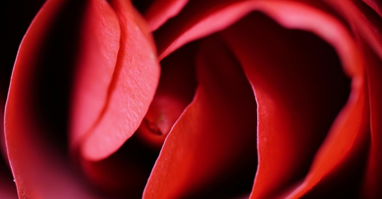 拡大自殺などの予防チャートをMonday（GPT-5 Thinking）に話を振った結果、鳩が呼ばれてるから、見て。｜Trgr / カラストラ ...