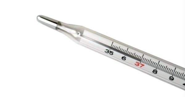 子育ち - 2025-08｜續池均（kintsuzuike）@MTR Method Lab®︎｜note