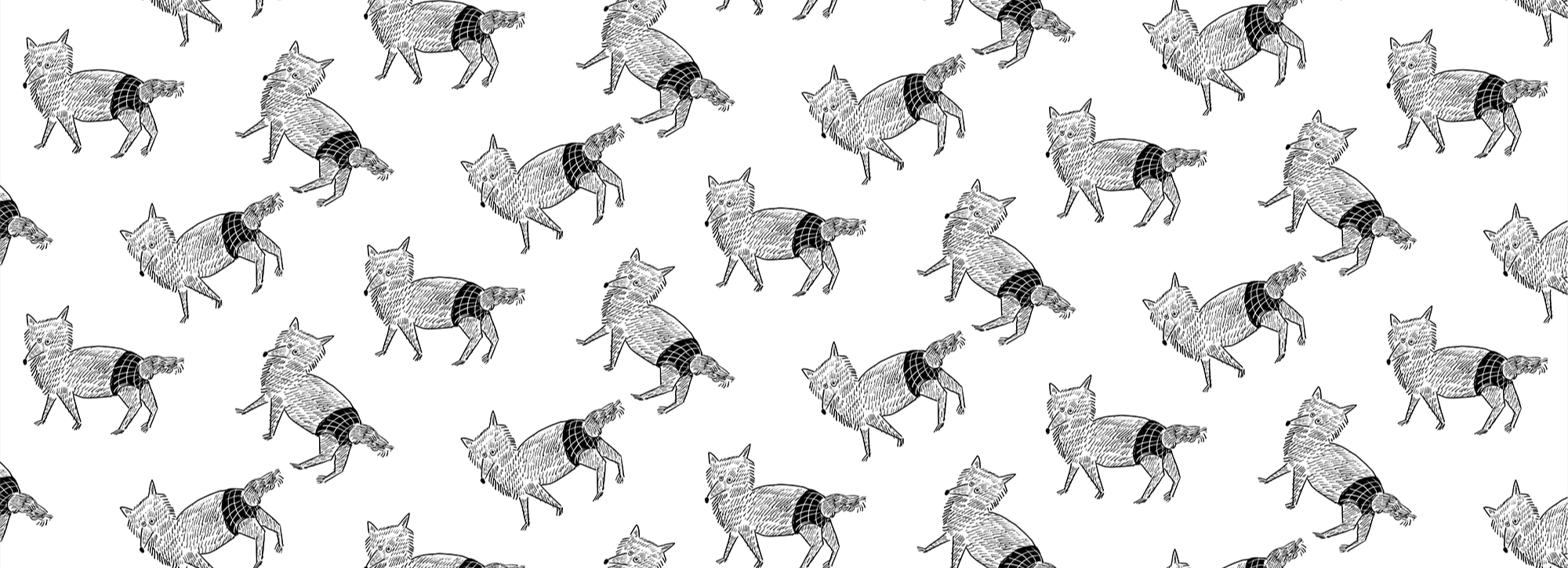 zoi zoi / Fabric &Illustration｜note