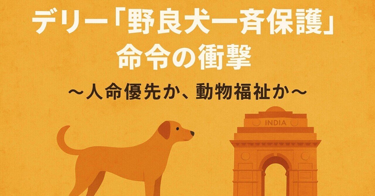 【2025年8月】インド・デリー「野良犬一斉保護」命令の衝撃〜人命優先か、動物福祉か〜｜j hama@インド駐在