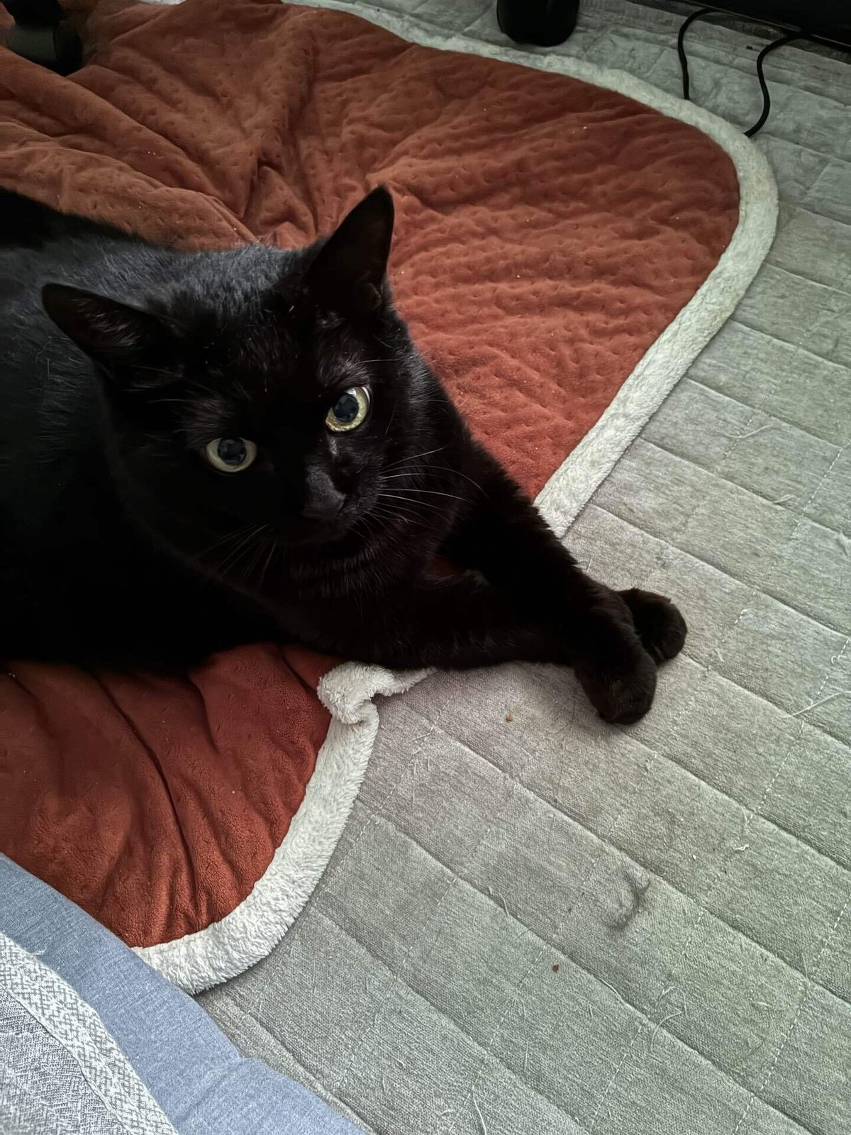 感情は理性に勝る件｜unitason