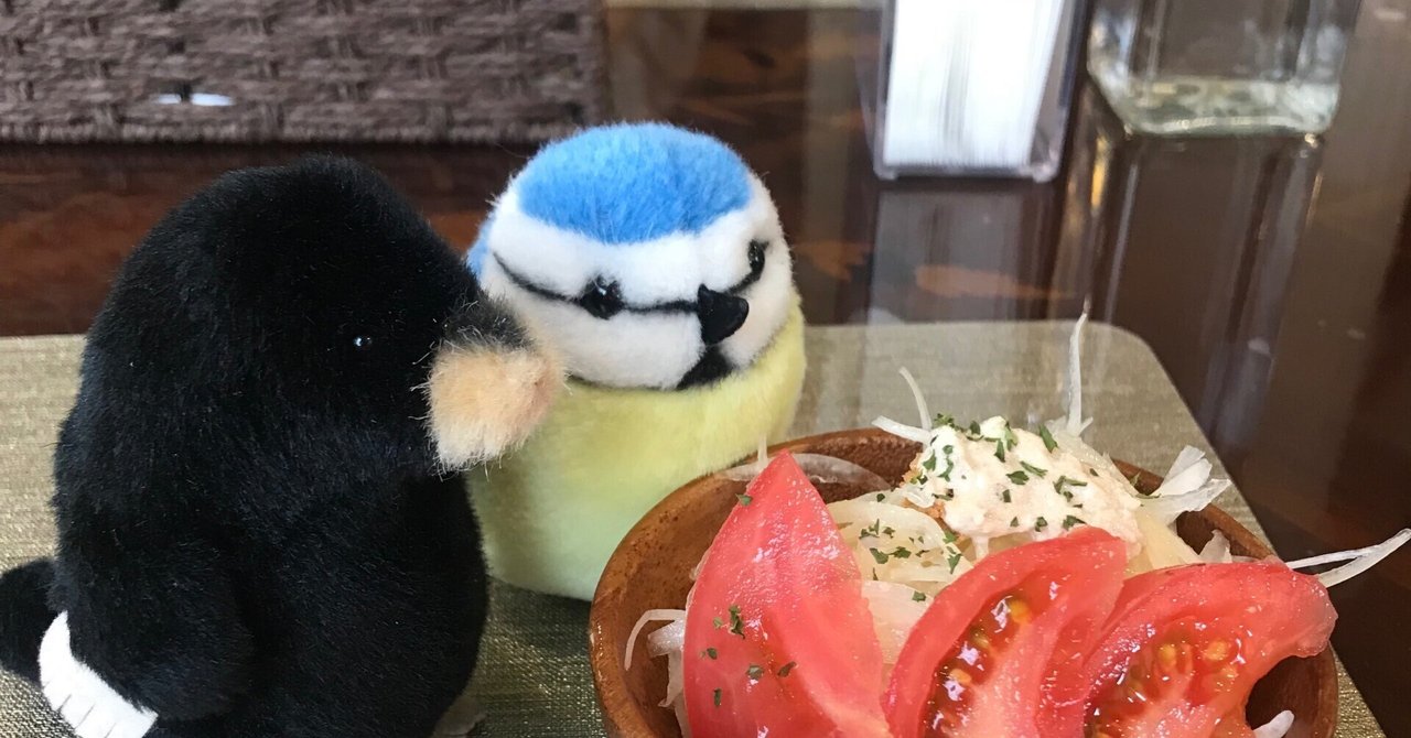 INFP(INTP)とISFP(ISTP)｜由芽