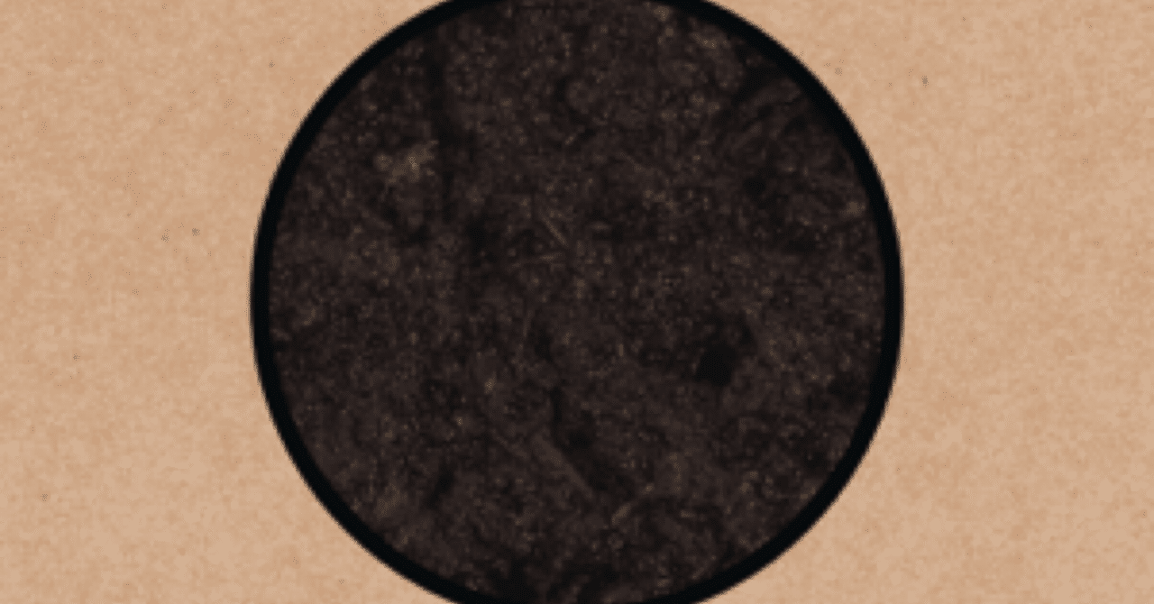 Swans Michael Gira 2025 インタビュー 日本語訳まとめ｜S (Varelser)