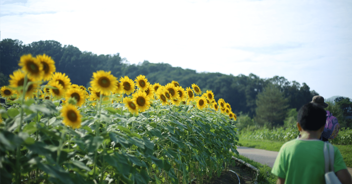 お盆ですね。｜Torico