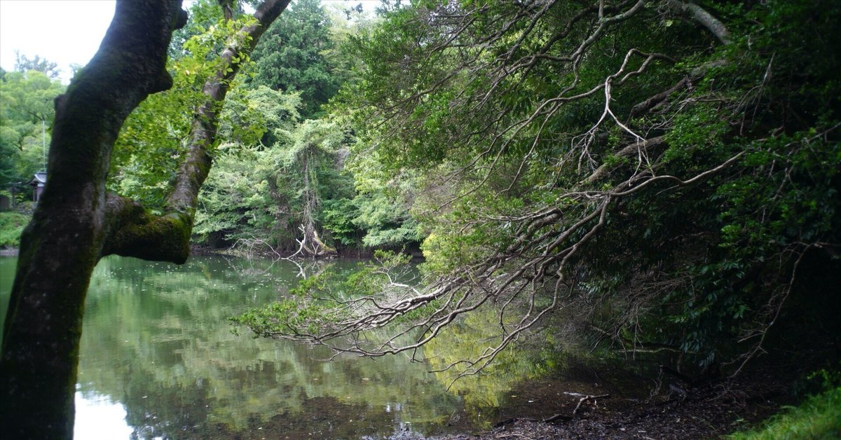 セカンドハウス 『夏休みの過ごし方』｜季節花人 | Shoko Kondo
