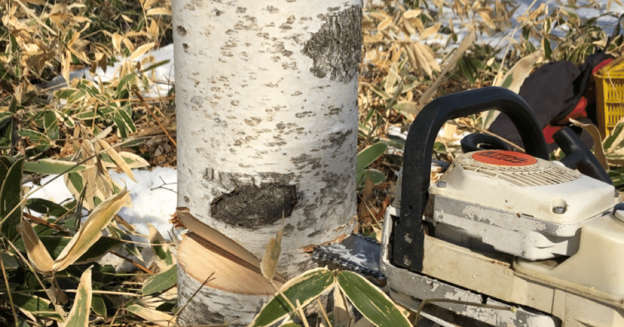 オンラインと教育と安全｜山本健太@北海道池田町