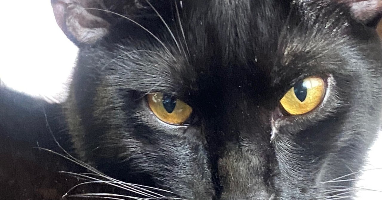 Imperfection 不完全の価値なのかな｜can_ada