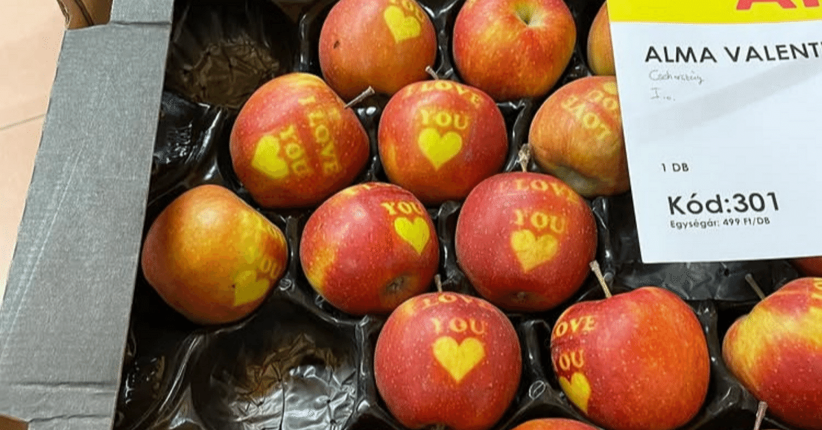 【中学英語文法シリーズ㊹】「助動詞の応用②」｜liyin_eigo