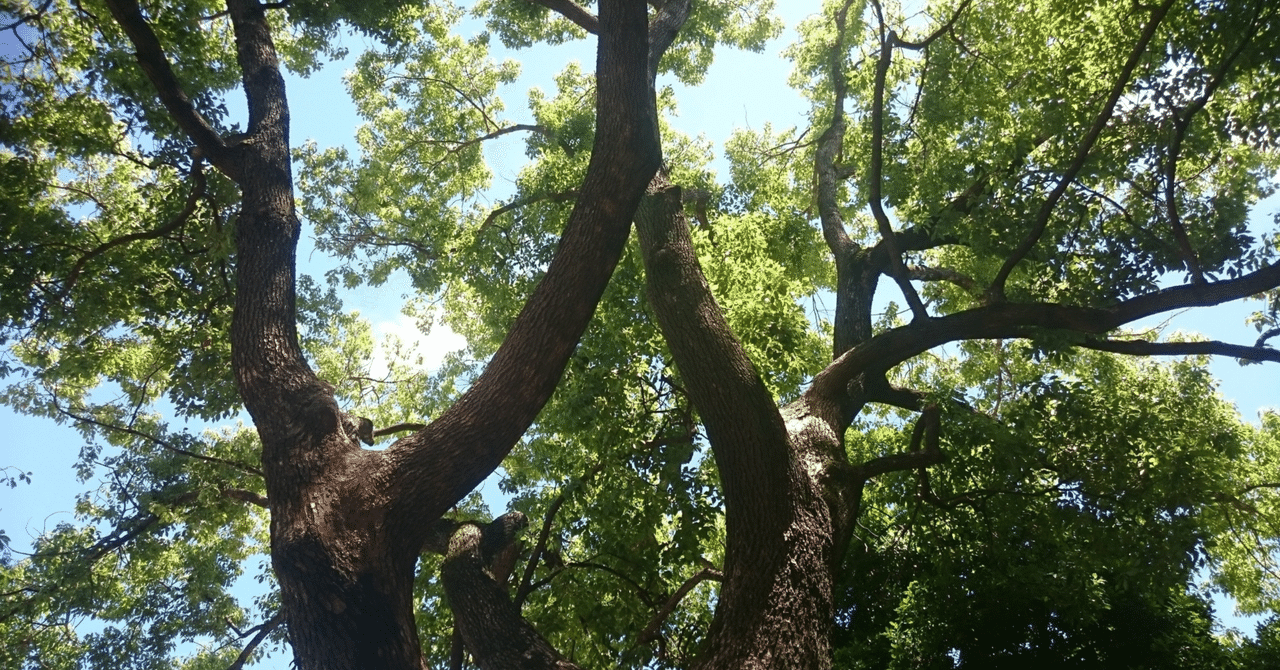 市民と法No.154｜sunao