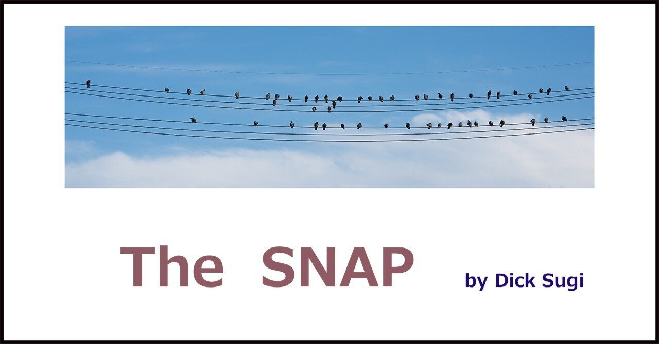 The SNAP （2） ヒマワリ｜Dick Sugi