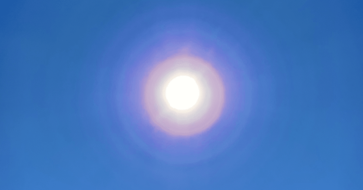 蝉しぐれと、80年前の沈黙｜art hoiku